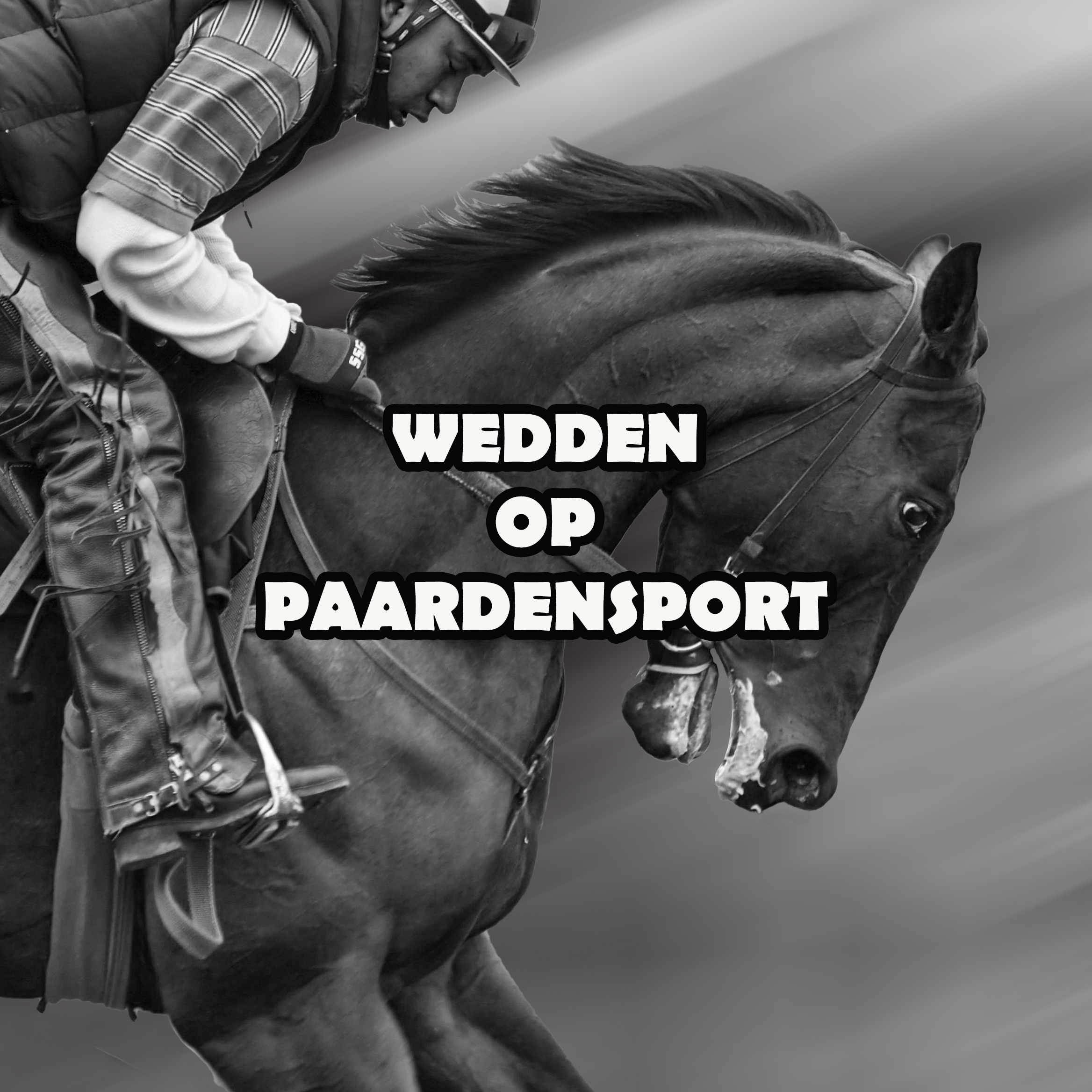 Wedden op paardensport | Onetime.nl